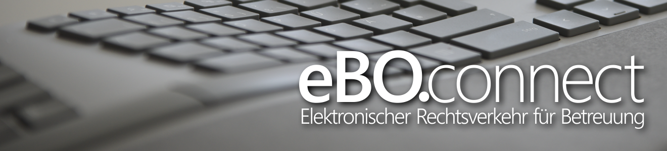 BdB at work - Bundesverband der Berufsbetreuer*innen e.V.